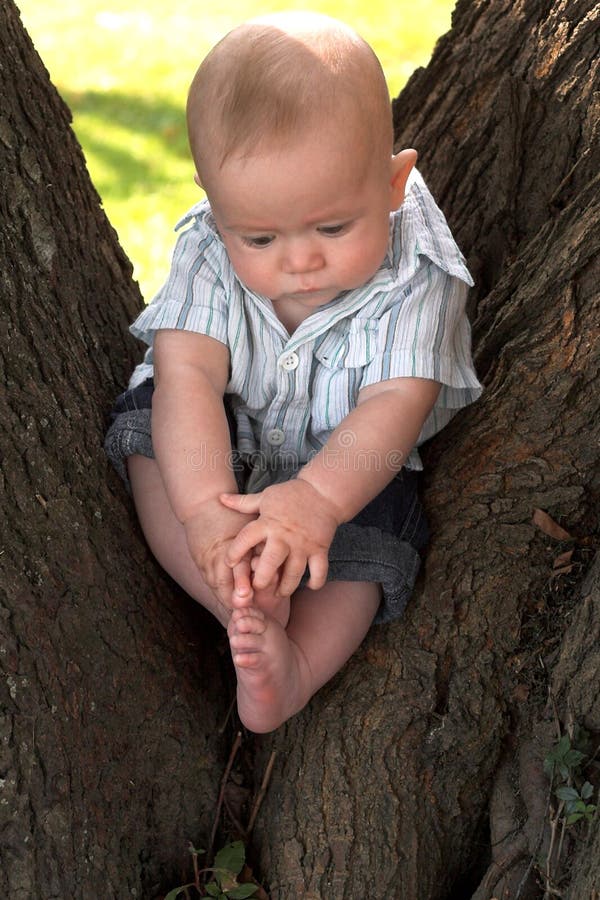 Tree Baby stock image. Image of baby, grass, green, little - 1936433