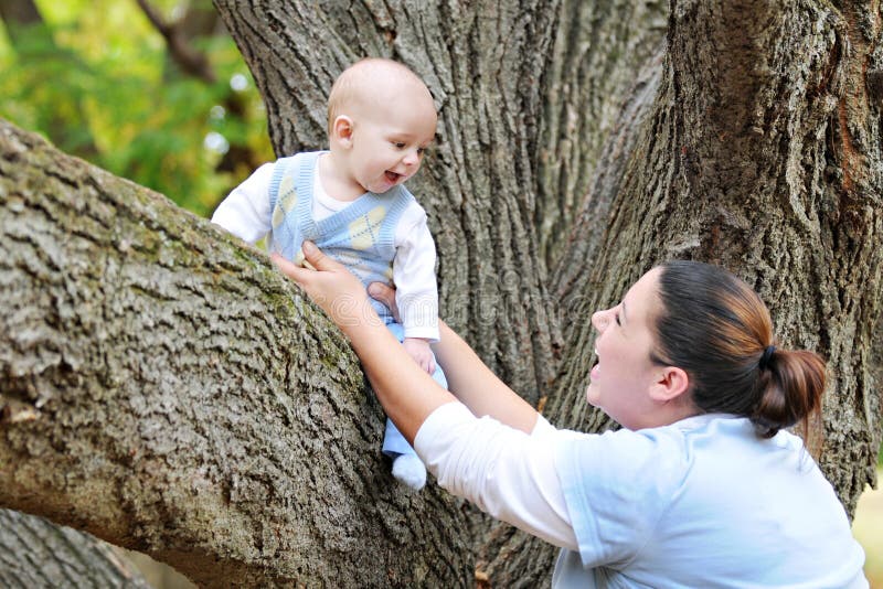 Tree Baby stock image. Image of securing, enjoying, happy - 6906005