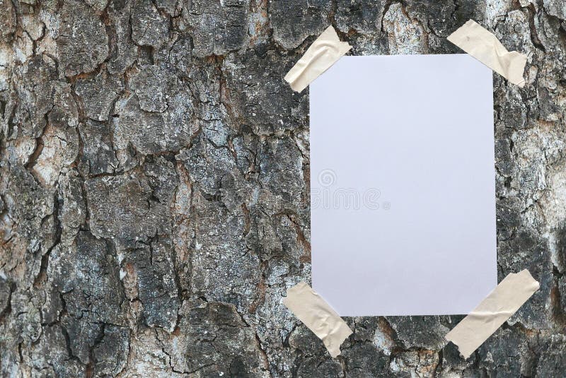 Tree Background and Texture Stock Photo - Image of space, page: 221970916