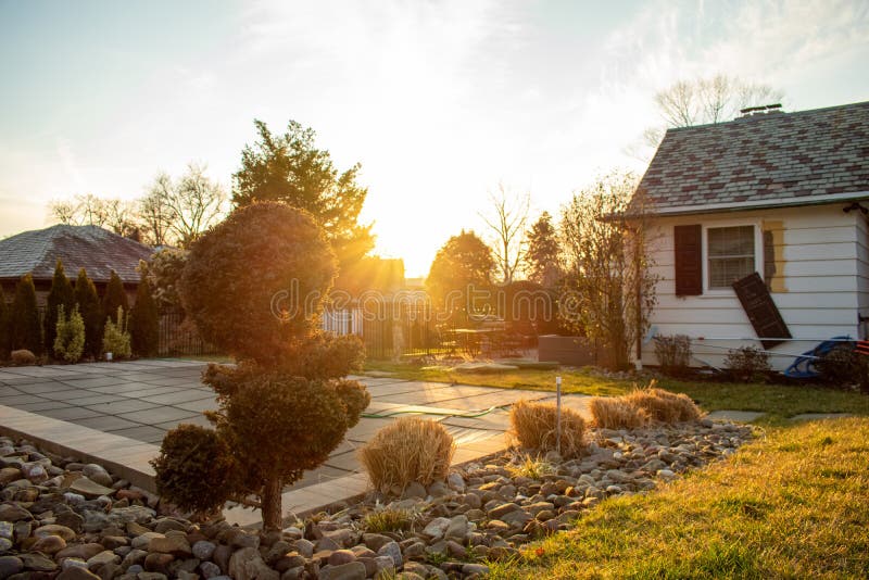 A Tree in a Backyard at Sunset Stock Image - Image of dead, growth ...