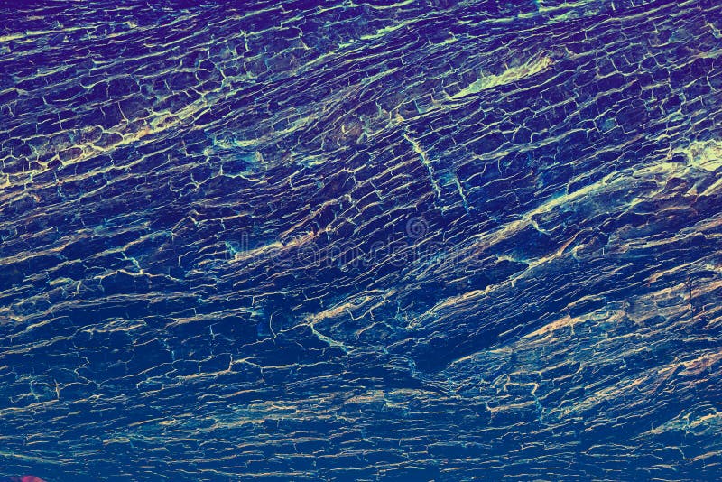 Tree Bark Blue Dark Wood Texture Stock Image - Image of dark, table ...