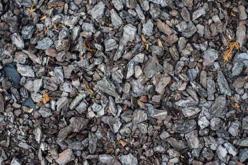 Tree bark decor on ground stock image. Image of forest - 131322029