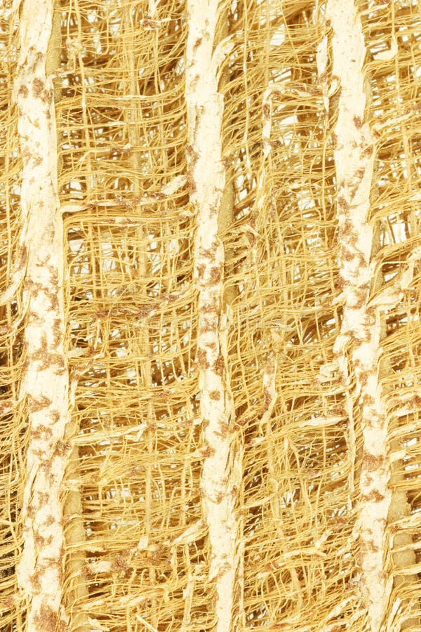 Tree Bark Fibers Background Stock Photo - Image of wood, material: 24371782