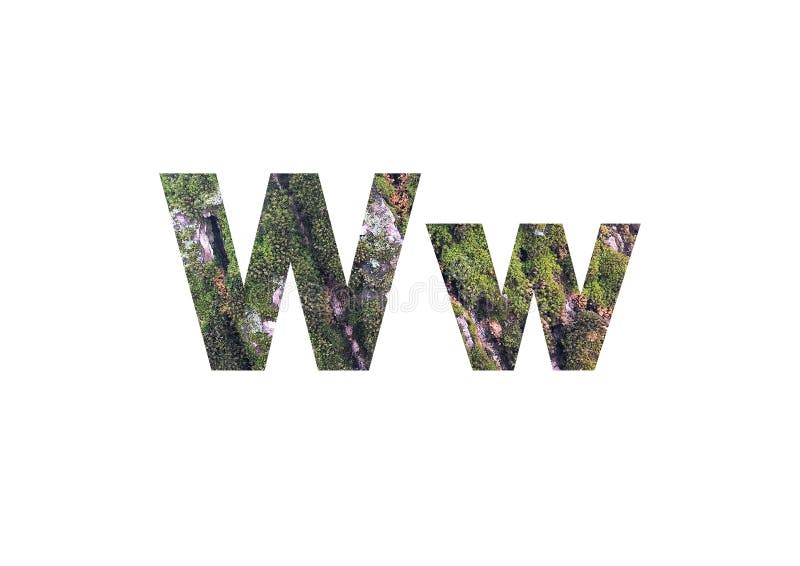 Letter W Tree Stock Photos - Free & Royalty-Free Stock Photos from ...
