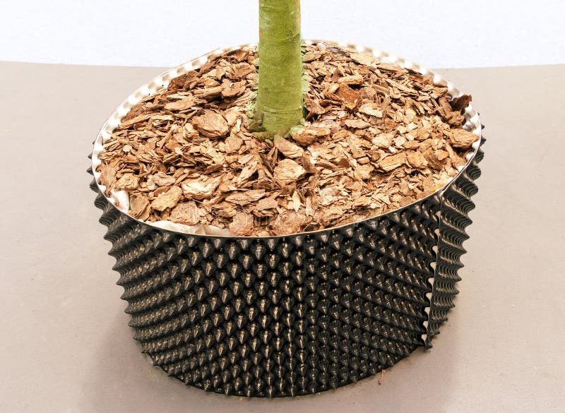 Tree bark inside pot stock image. Image of decoration - 290760089