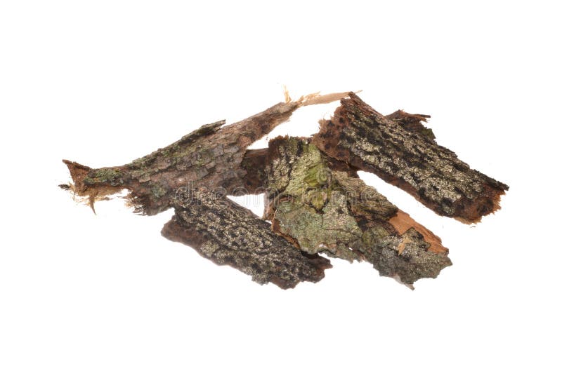 Tree Bark Isolated on White Background Stock Photo - Image of bark ...