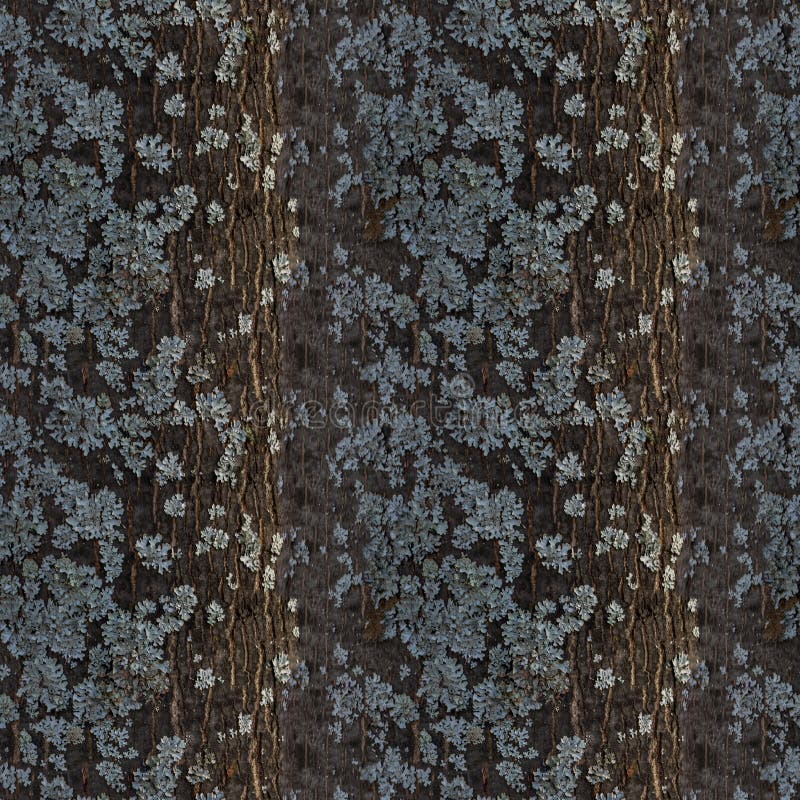 987 Lichen Seamless Texture Photos - Free & Royalty-Free Stock Photos ...