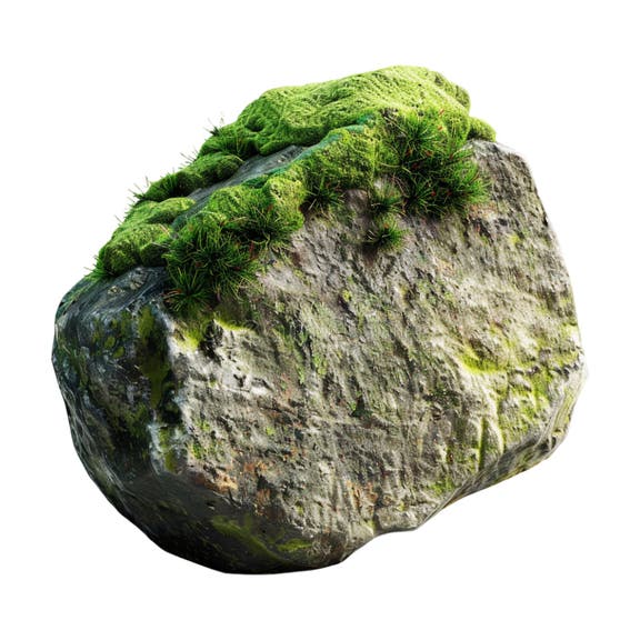 Tree Bark Moss Rock on Transparent Background - Ai Generated Stock ...