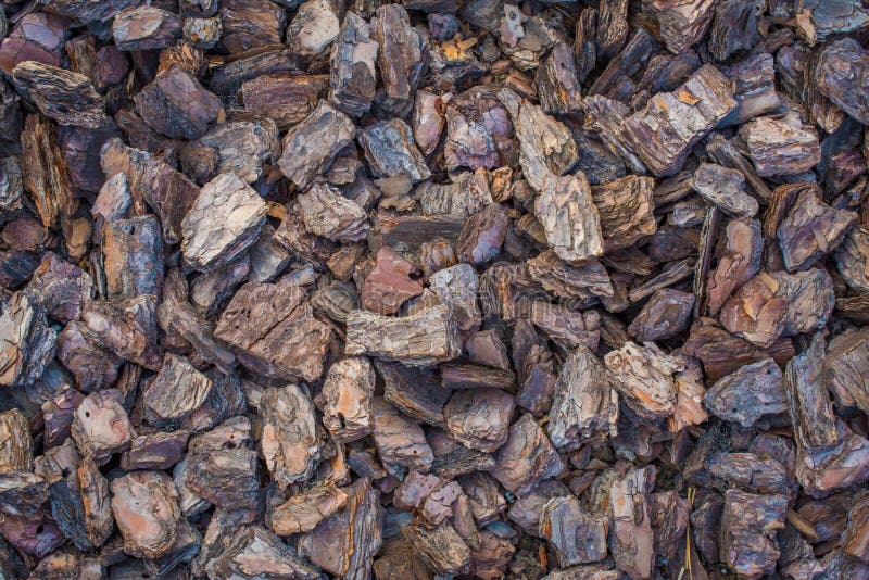 Tree bark mulch stock photo. Image of design, detail - 60009322
