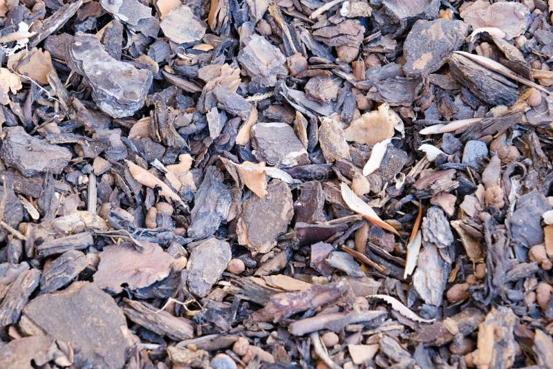 Tree Bark Mulch Texture, Outdoor, Background, Chestnut Wood Chips for ...