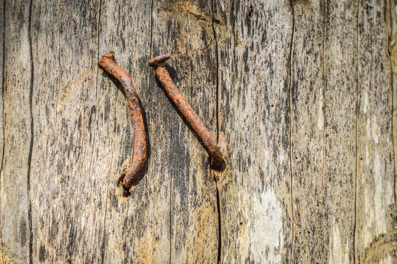 Tree Bark with Nails Use As Background Stock Image - Image of cloud ...