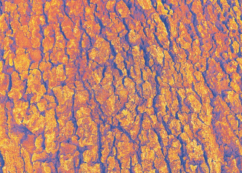 Tree Bark Pattern Textured Photo Backdrop, Background Stock Photo ...