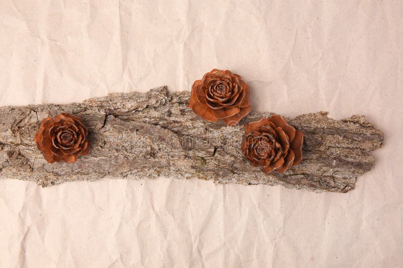 Tree Bark Piece and Cones on Beige Crumpled Paper, Top View. Space for ...
