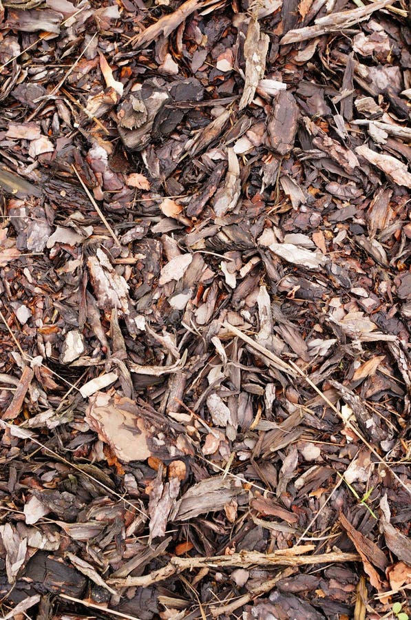 Tree bark stock photo. Image of background, pieces, bark - 45986416