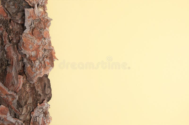 Tree Bark Pieces on Beige Background, Top View. Space for Text Stock ...