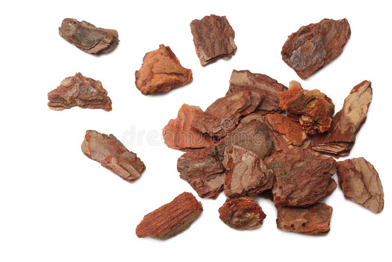 Tree Bark Pieces Isolated on White Background. Top View Stock Photo ...