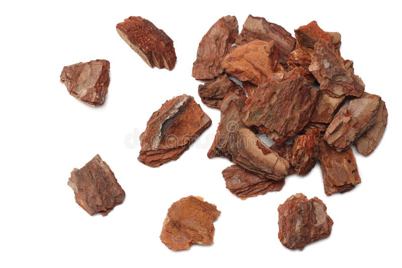 Tree Bark Pieces Isolated on White Background. Top View Stock Image ...