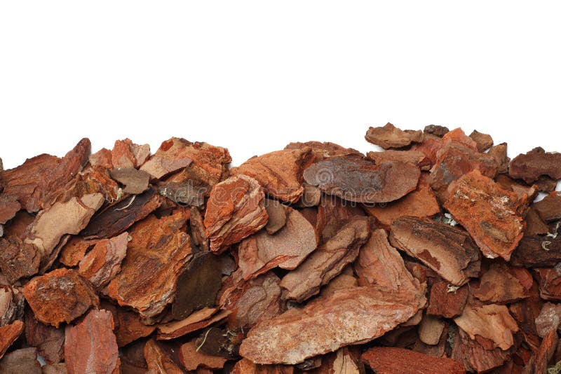 Tree Bark Pieces Isolated on White Background. Top View Stock Image ...