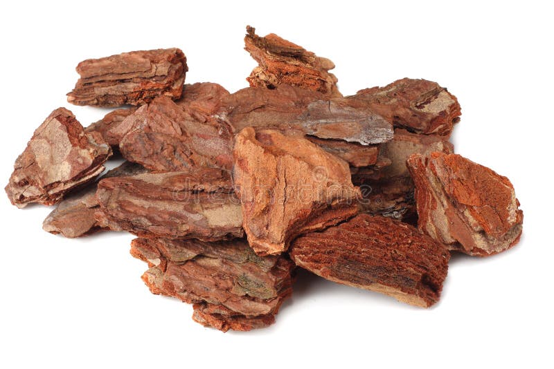 Tree Bark Pieces Isolated on White Background. Top View Stock Photo ...