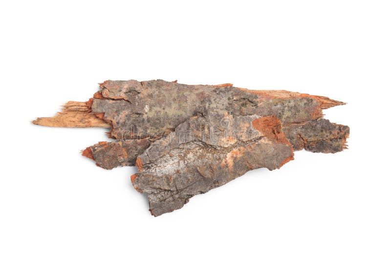 Pieces of Tree Bark Isolated on White Stock Image - Image of brown ...