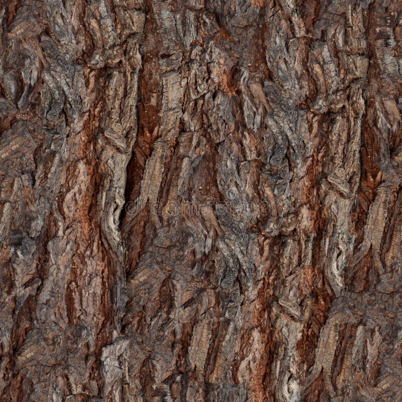Tree Bark Seamless Texture with Rough Surface and Detailed Wooden ...