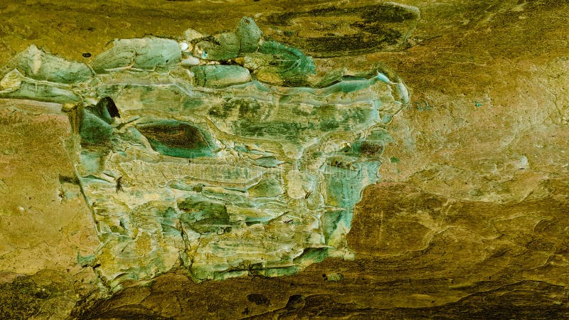 Tree Bark, Tree Shell Texture in Green Tones Stock Photo - Image of ...