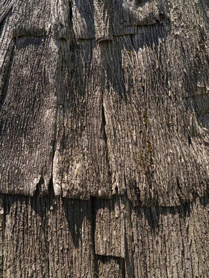 Tree Bark Shingle Background. Stock Image - Image of wooden, forestry ...