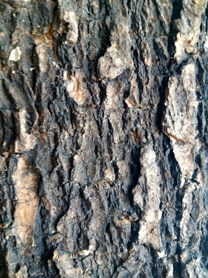 Tree Bark Pattern Fabric