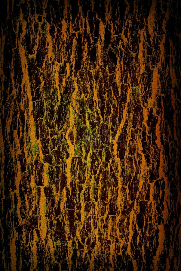 Tree Bark Texture for Designer Stock Illustration - Illustration of ...