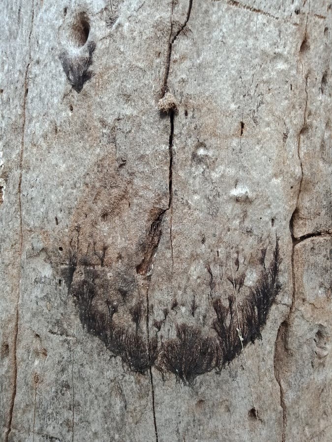 Scary Free Backgrounds Stock Photos - Free & Royalty-Free Stock Photos ...