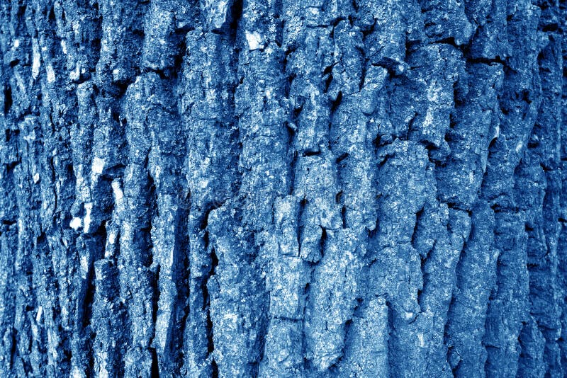 Tree Bark Texture in Navy Blue Tone Stock Image - Image of grunge ...