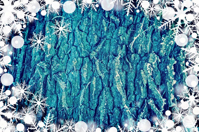 Tree Bark Texture with Snow Stock Image - Image of snow, cork: 82781503