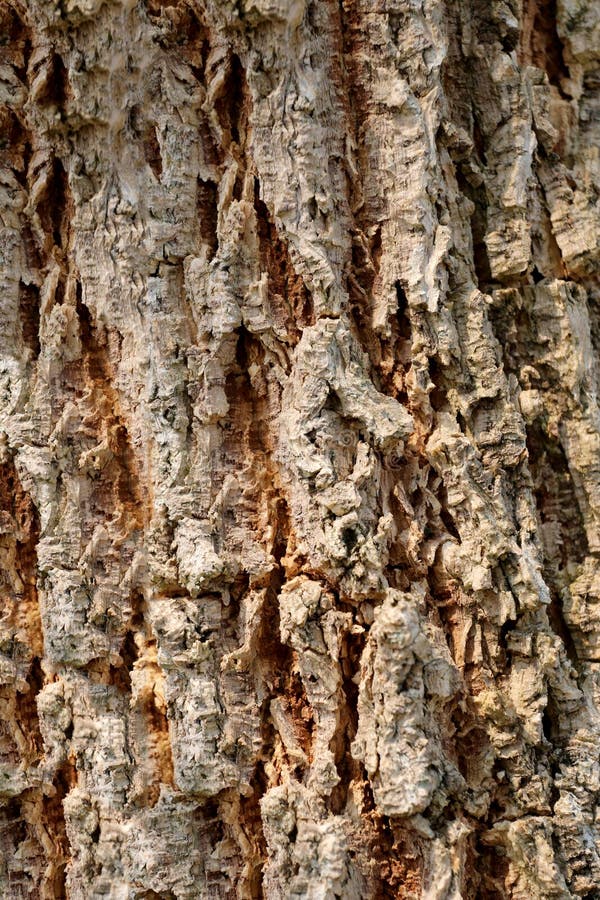 Texture of Old Weathered Brick Wall Decayed and Broken Malfunctioning ...