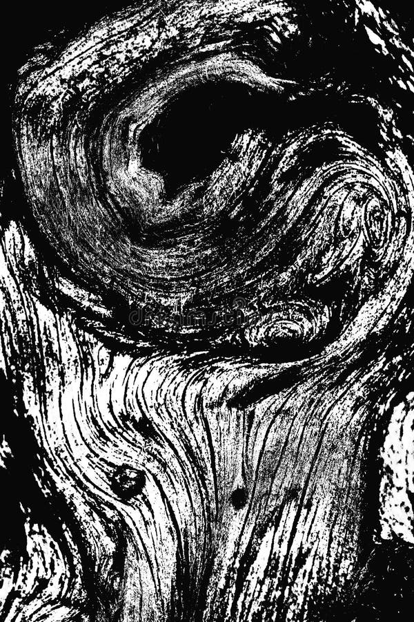 Log Rotting Stock Illustrations – 20 Log Rotting Stock Illustrations ...