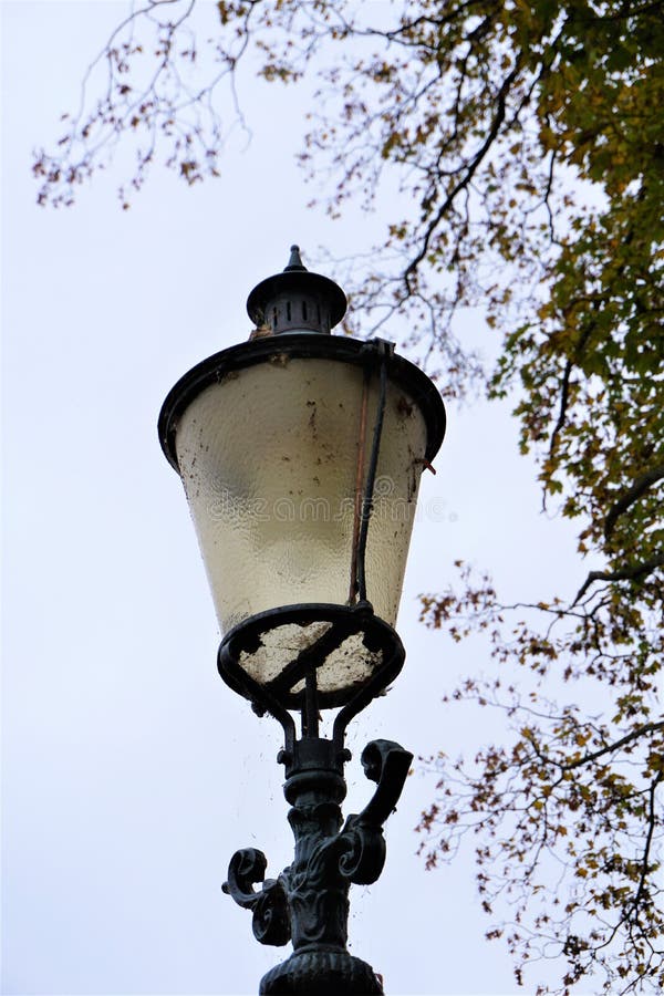 Tree Bark, Trunk Fallen Over by the Wind. Blown Over in the Autumn ...