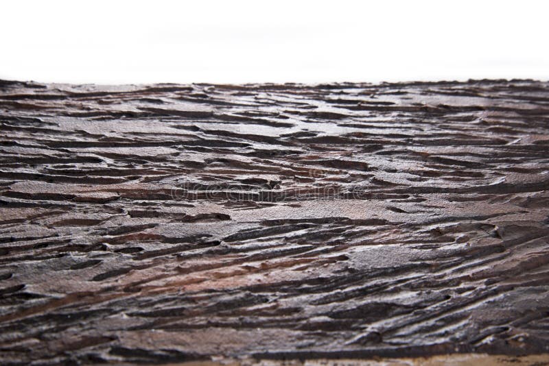 101 Tree Bark Varnish Background Texture Stock Photos - Free & Royalty ...