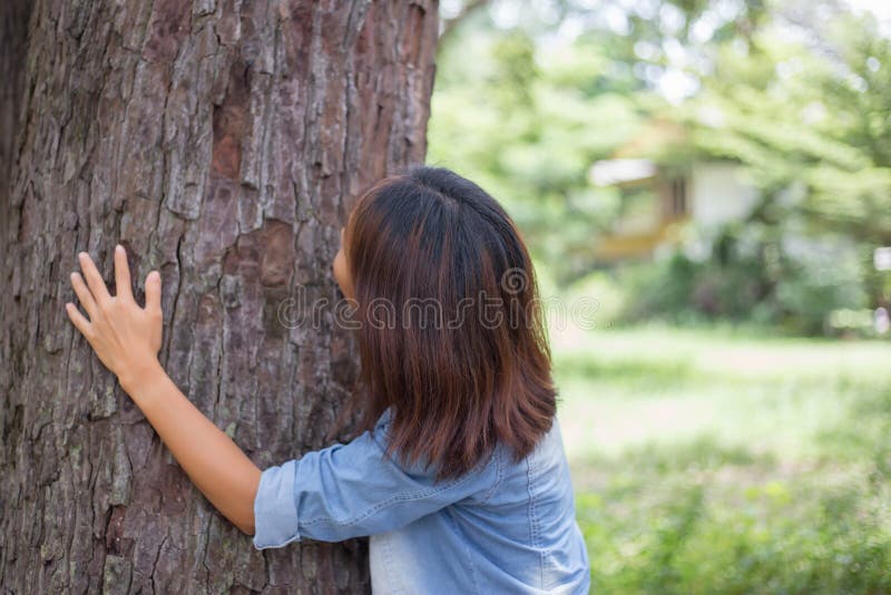 Tree Bark with Woman Hand on it Stock Image - Image of outdoor, young ...