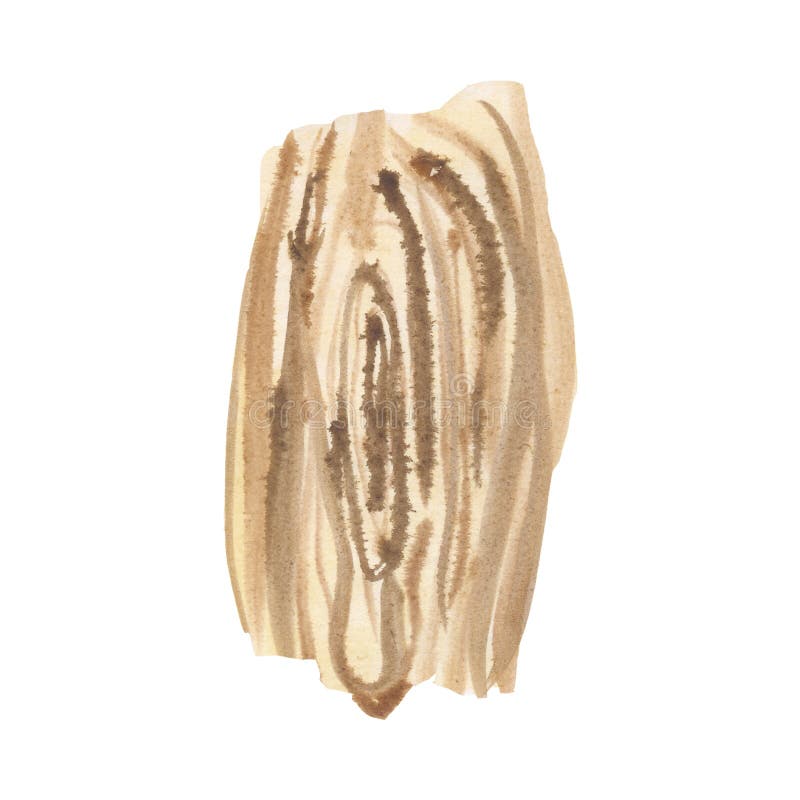 Textile Design Tableware Stickers Stock Illustrations – 113 Textile ...