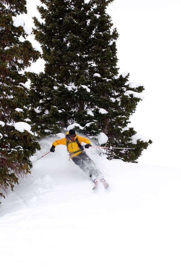 Tree Bashing stock photo. Image of snow, skier, pine, cold - 4357874