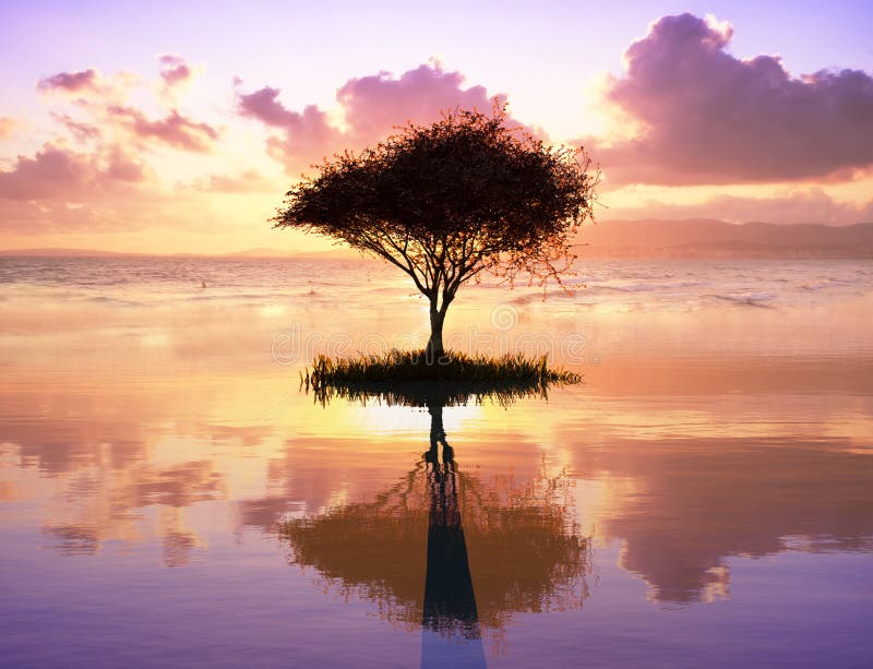 Tree on the beach stock illustration. Illustration of horizon - 83008111