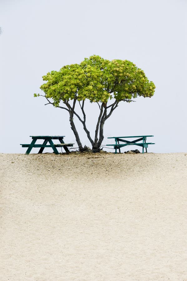 Picnic Tables, Fall Colors stock photo. Image of geneva - 45871054
