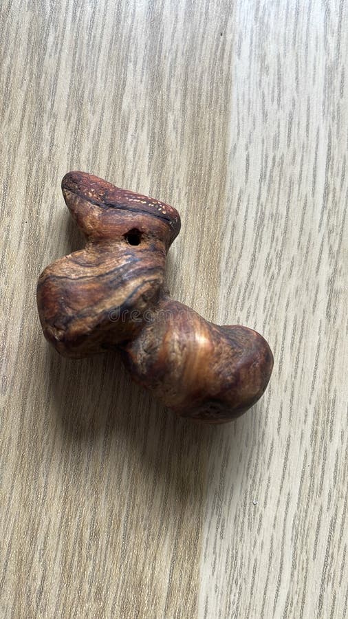 Tree Bead, Druid Egg of an Old Oak with Beautiful Grain Stock Photo ...