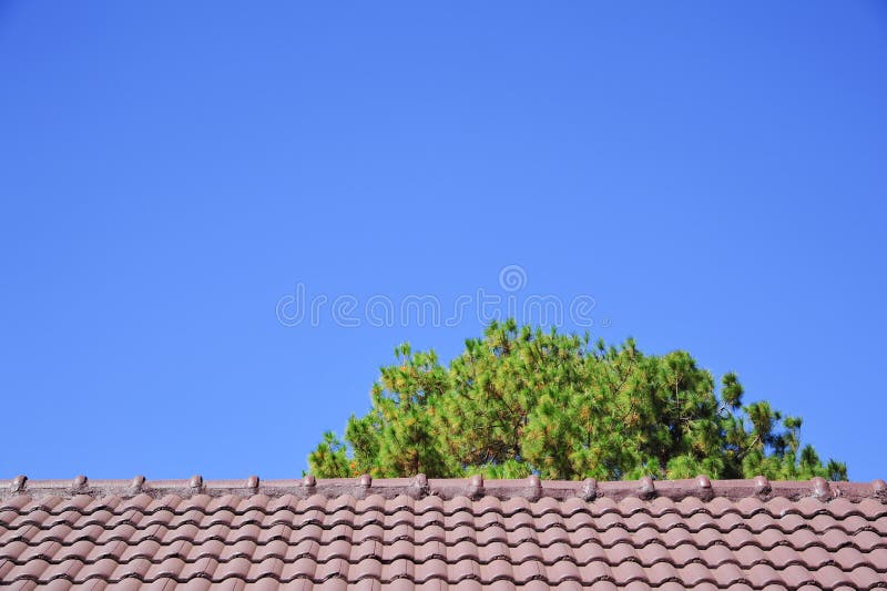 A tree behind roof stock image. Image of passive, cloud - 94140621