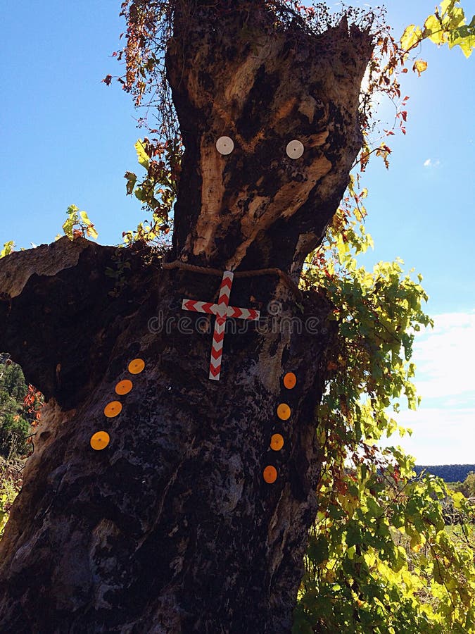 Tree Being Cut Down in a Forest. Stock Photo - Image of scosystem ...