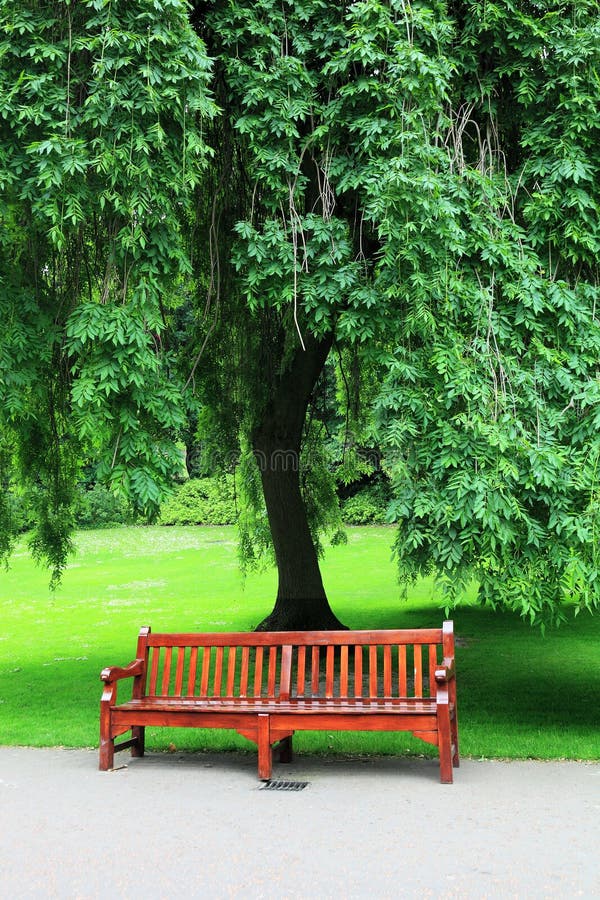 Tree and Bench Silhouette Scene HDR Stock Image - Image of moody ...