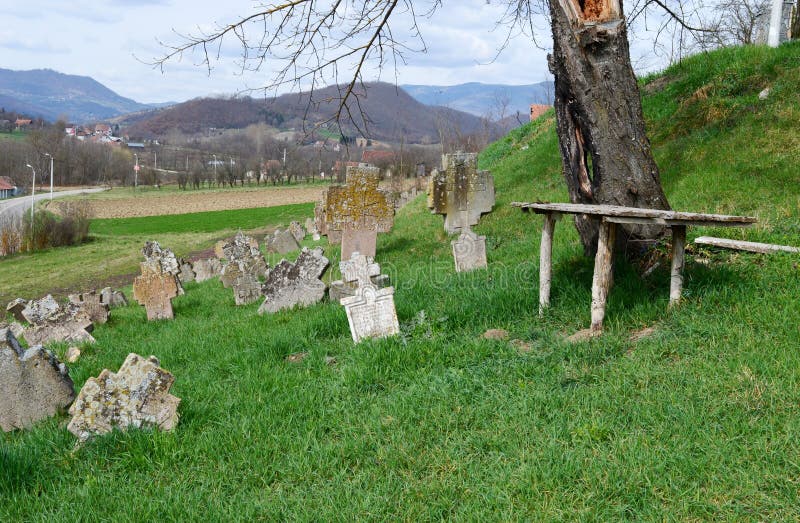 Tree and a Bench in the Old Cemetery Stock Photo - Image of garden ...