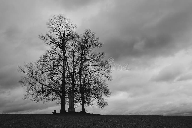 Tree, Bench and Small Chapel on Grass Horizon Under Dramatic Cloudy Sky ...