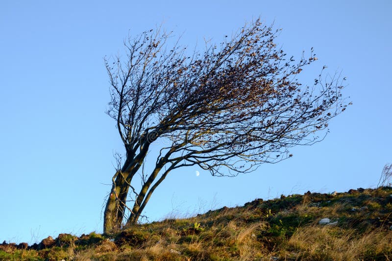 Strong winds at Rhosneiger stock image. Image of watersports - 15012823