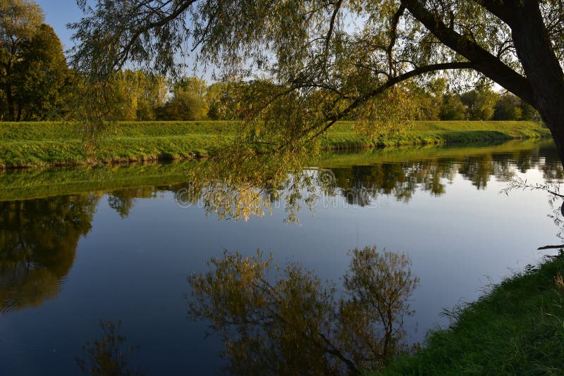Tree over water stock image. Image of autumn, environment - 129355869