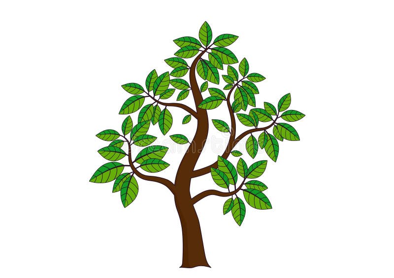 Tree with big green leaves stock vector. Illustration of nature - 146506994